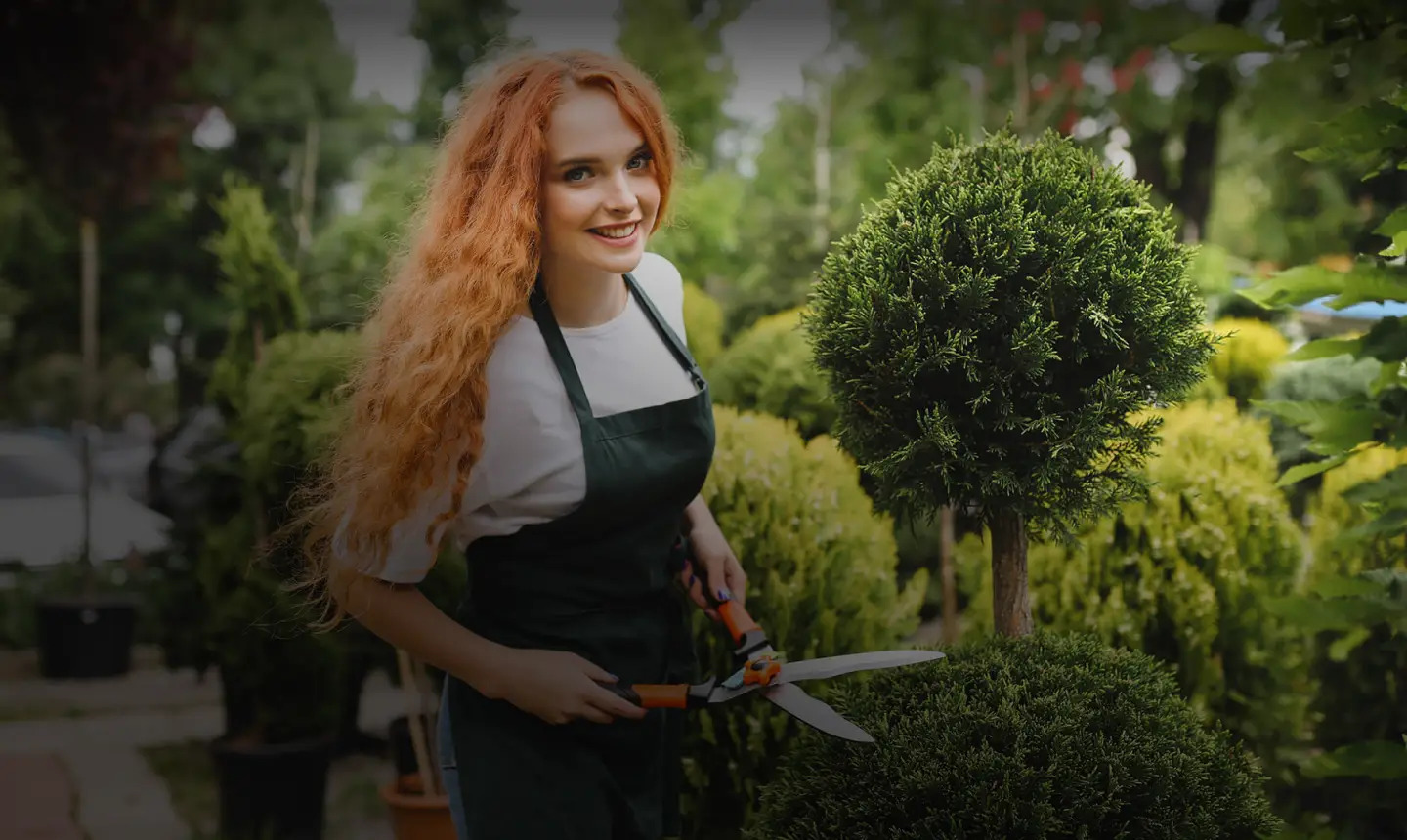 Essential Tips for Perfect Hedge Trimming in Chingford